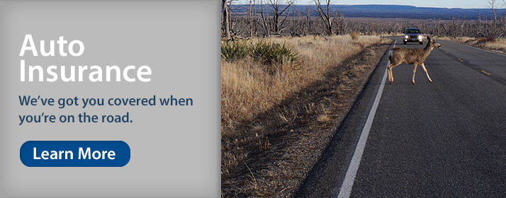 Citizens Insurance Agency